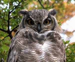 Xploration Station: Science for everyone | STEM Education Videos